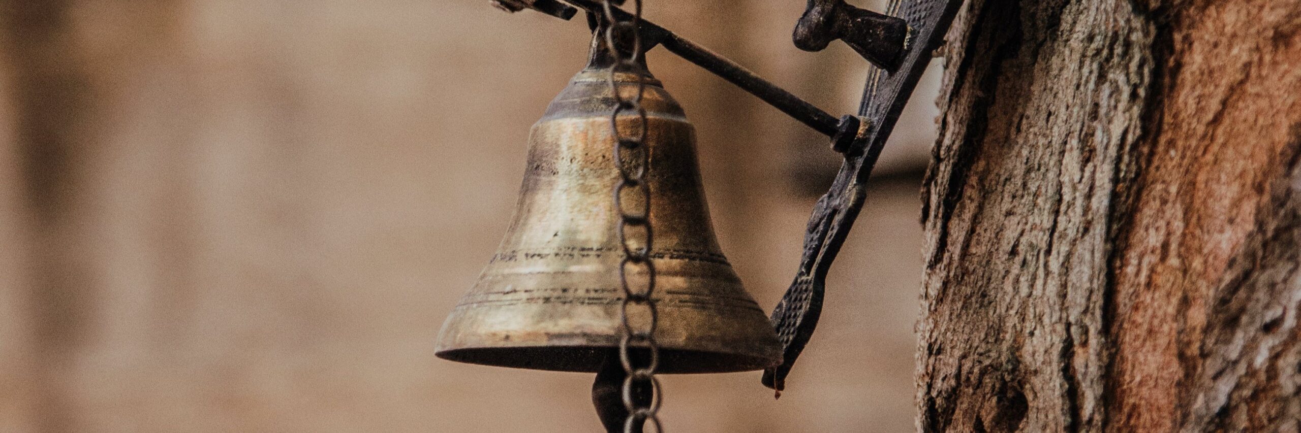 Home - The ObG Project