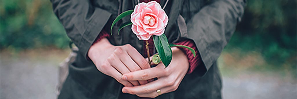 OB-flowers-slider-format-12a - The ObG Project