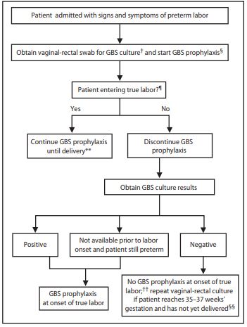 CDC GBS Algorithms for Screening and Intrapartum Antibiotic Prophylaxis ...