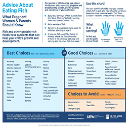 FDA Revision: Fish Consumption Advice for Pregnant and Breastfeeding ...