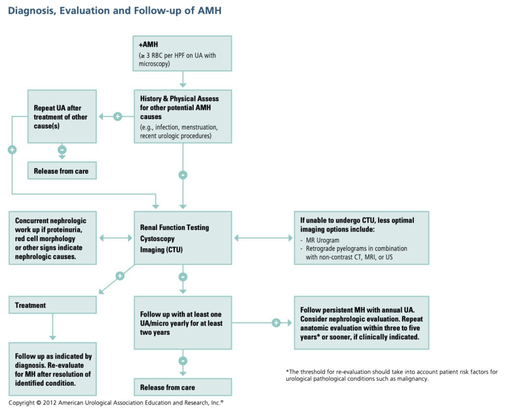 Asymptomatic-Microhematuria-Algorithm - The ObG Project