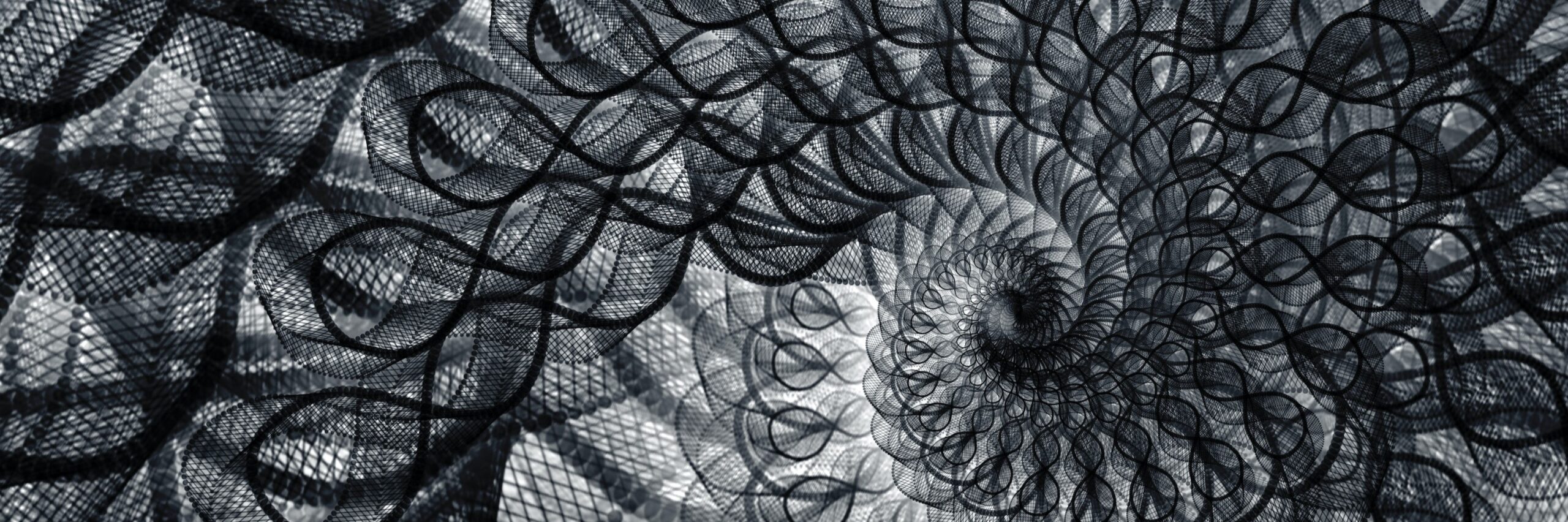 pexels-frank-cone-3573555 - The ObG Project