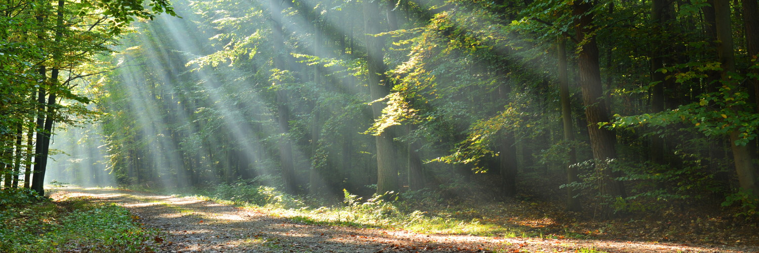 Home - The ObG Project