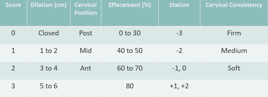 Bishop-Score - The ObG Project